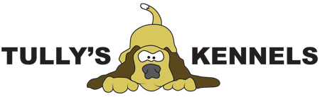 Puppy for Sale - Tullys Kennels